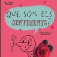Què són els sentiments?